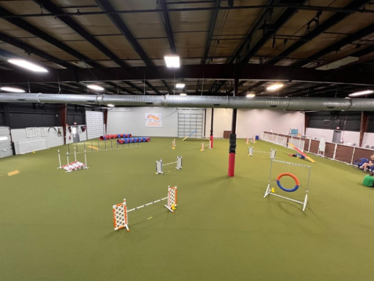 Our Facility – One Smart Dog